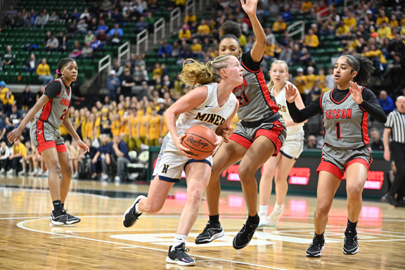 Negaunee Miners girls basketball team closes out special season with ...